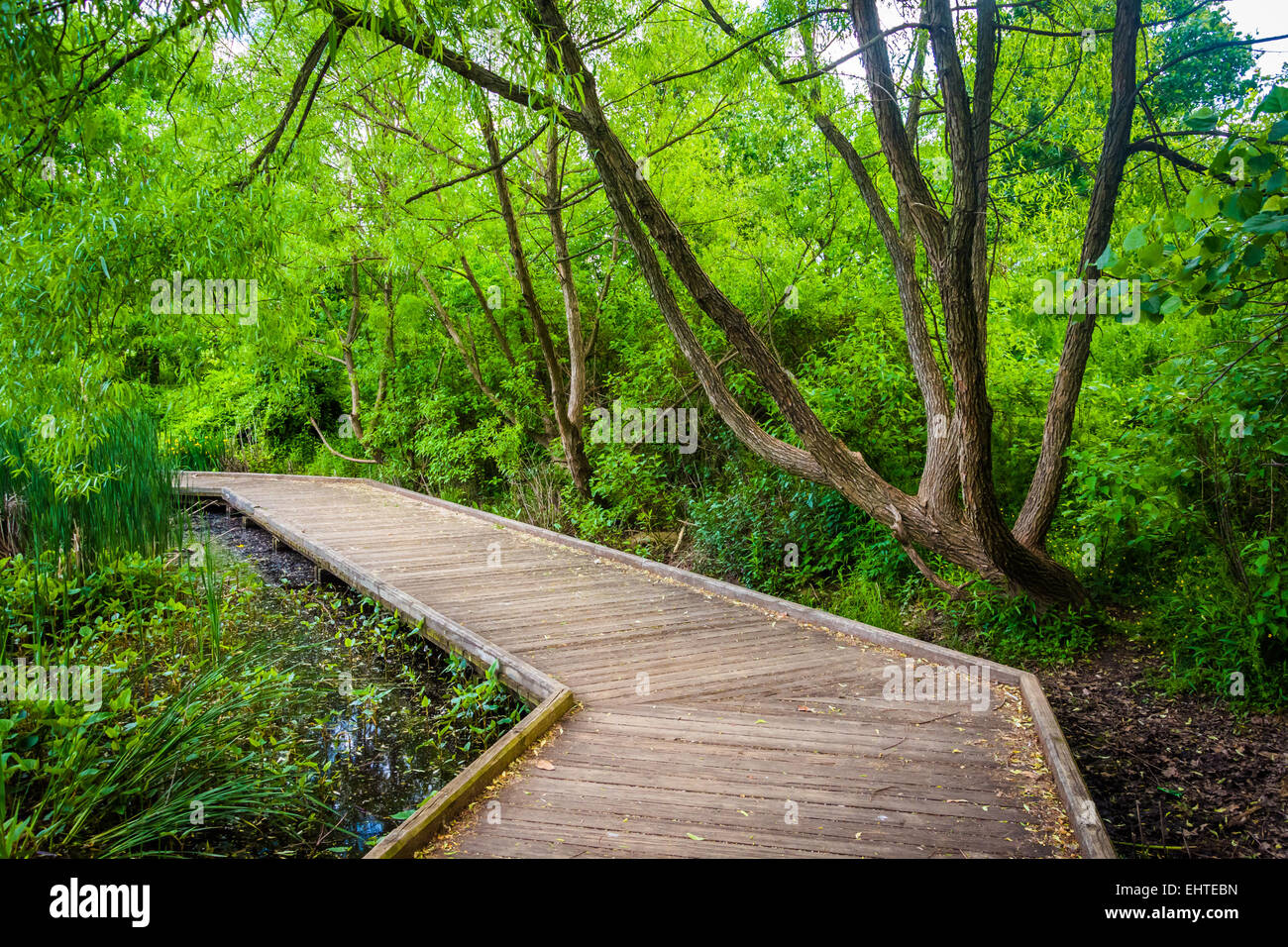 Boardwalk trail at Patterson Park, Baltimore, Maryland Stock Photo - Alamy