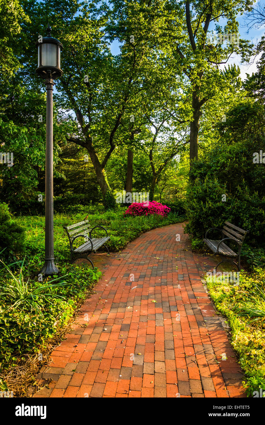 Brick path through a woodland garden at John Hopkins University in ...