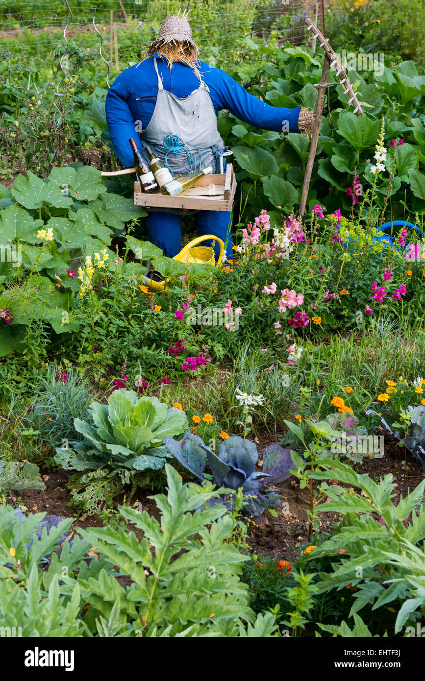 Vegetable garden with flowers and a blue scarecrow with rake Stock ...