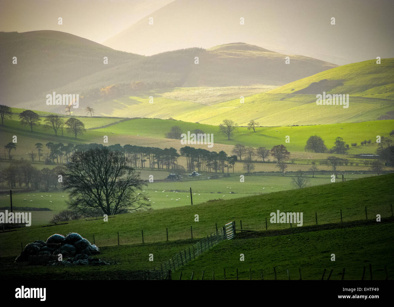 Low Winter Sun On Rural Hills In The Scottish Borders Stock Photo - Alamy