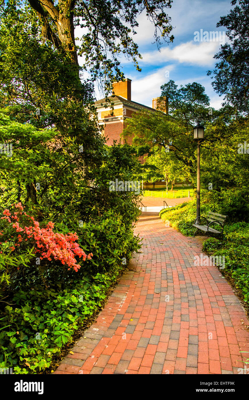 Brick path through a woodland garden at John Hopkins University in ...