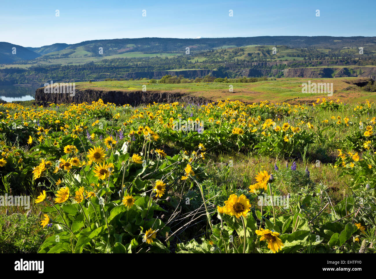 Rowena point hi-res stock photography and images - Alamy