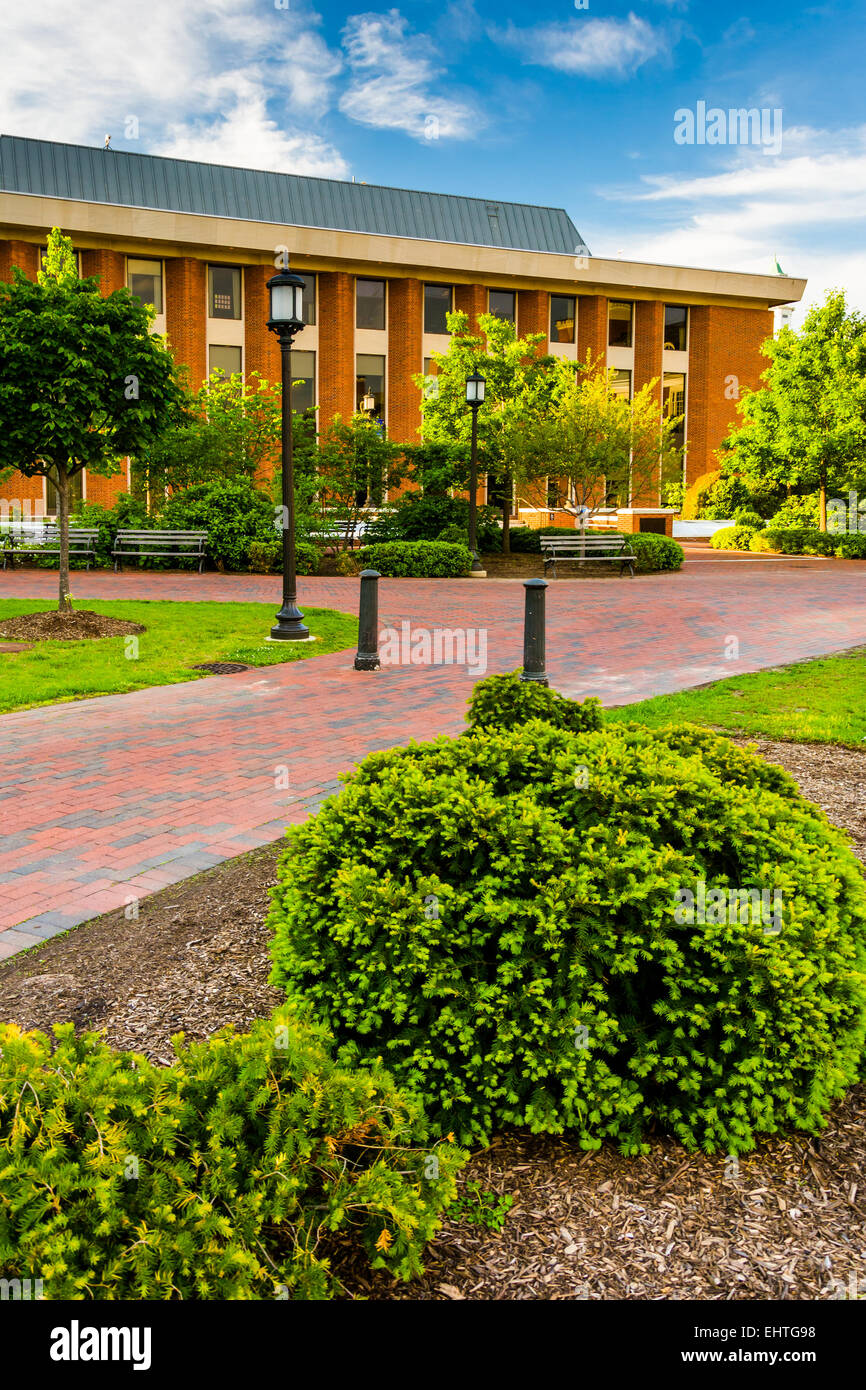 Bushes and buildings at John Hopkins University in Baltimore, Maryland ...