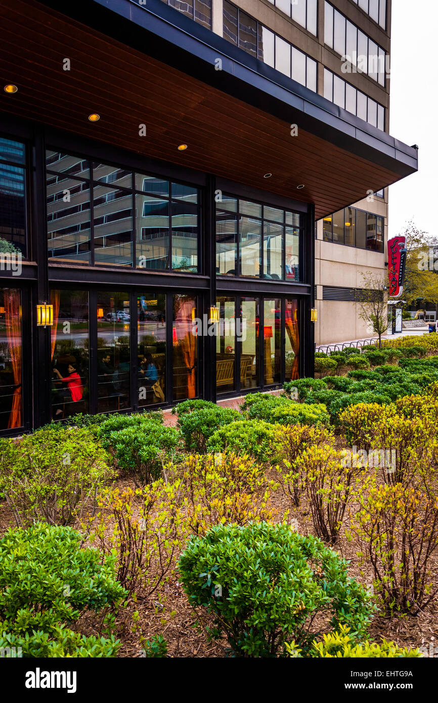 Bushes and a modern building in downtown Baltimore, Maryland Stock ...