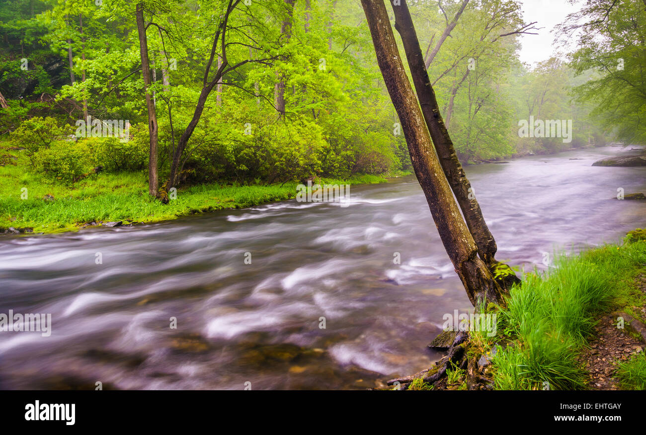 Cascades on the Gunpowder River near Prettyboy Reservoir in Baltimore ...
