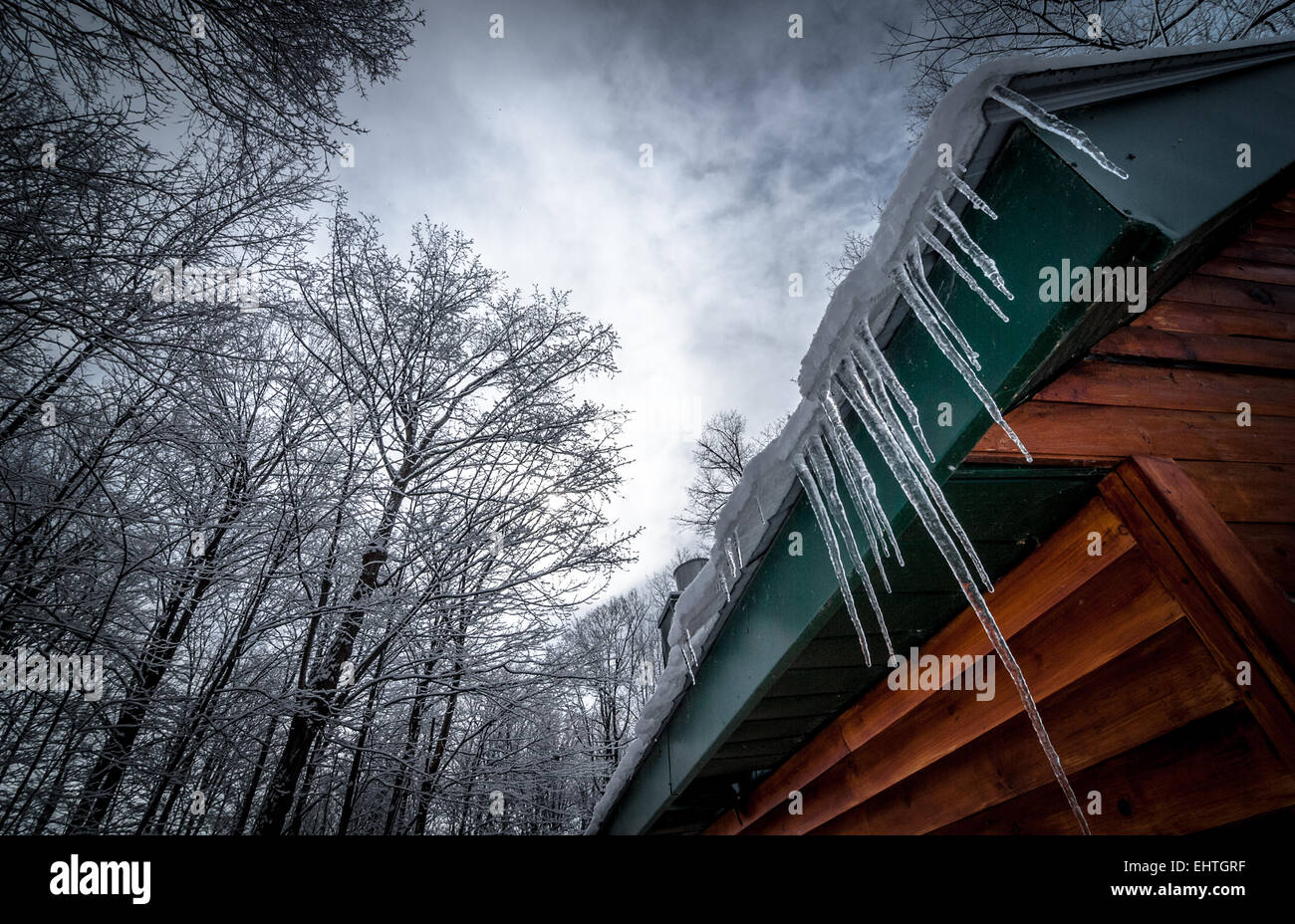 Maple syrup forests hi-res stock photography and images - Alamy