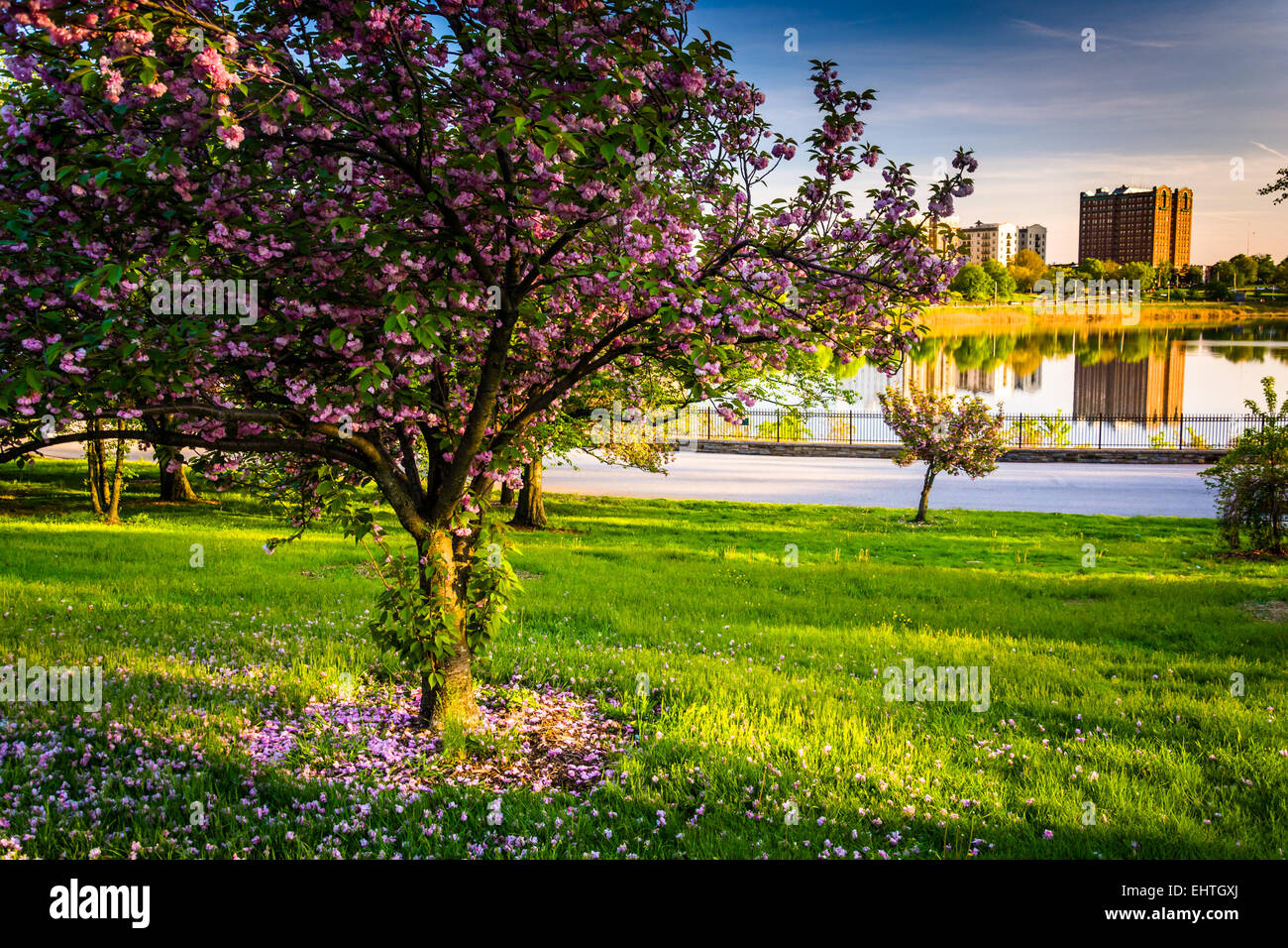 Colorful urban landscape hi-res stock photography and images - Alamy