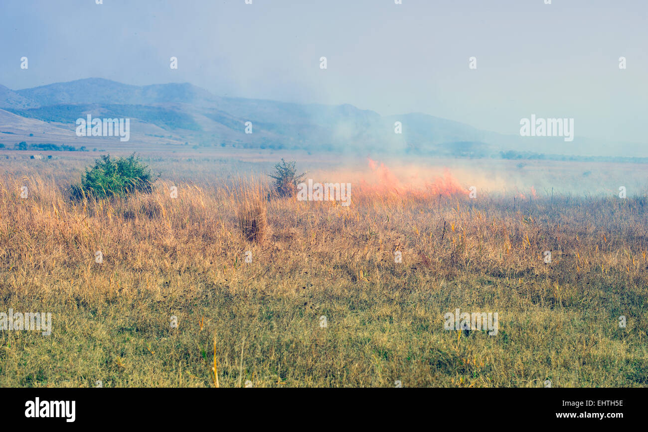 Field in fire Stock Photo - Alamy