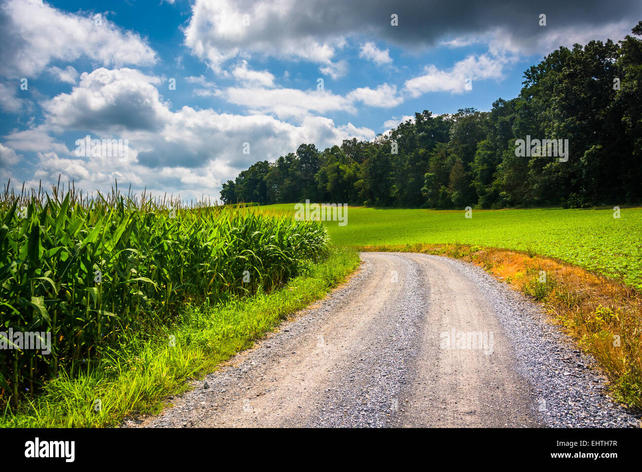 Corn fields with a road hi-res stock photography and images - Alamy