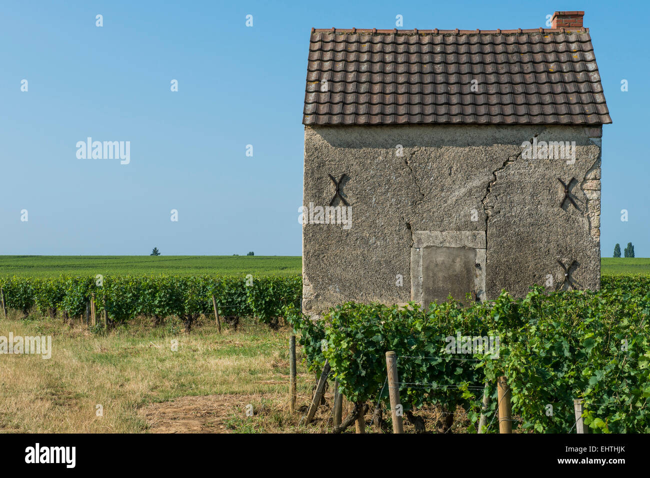 France vineyard hi-res stock photography and images - Alamy