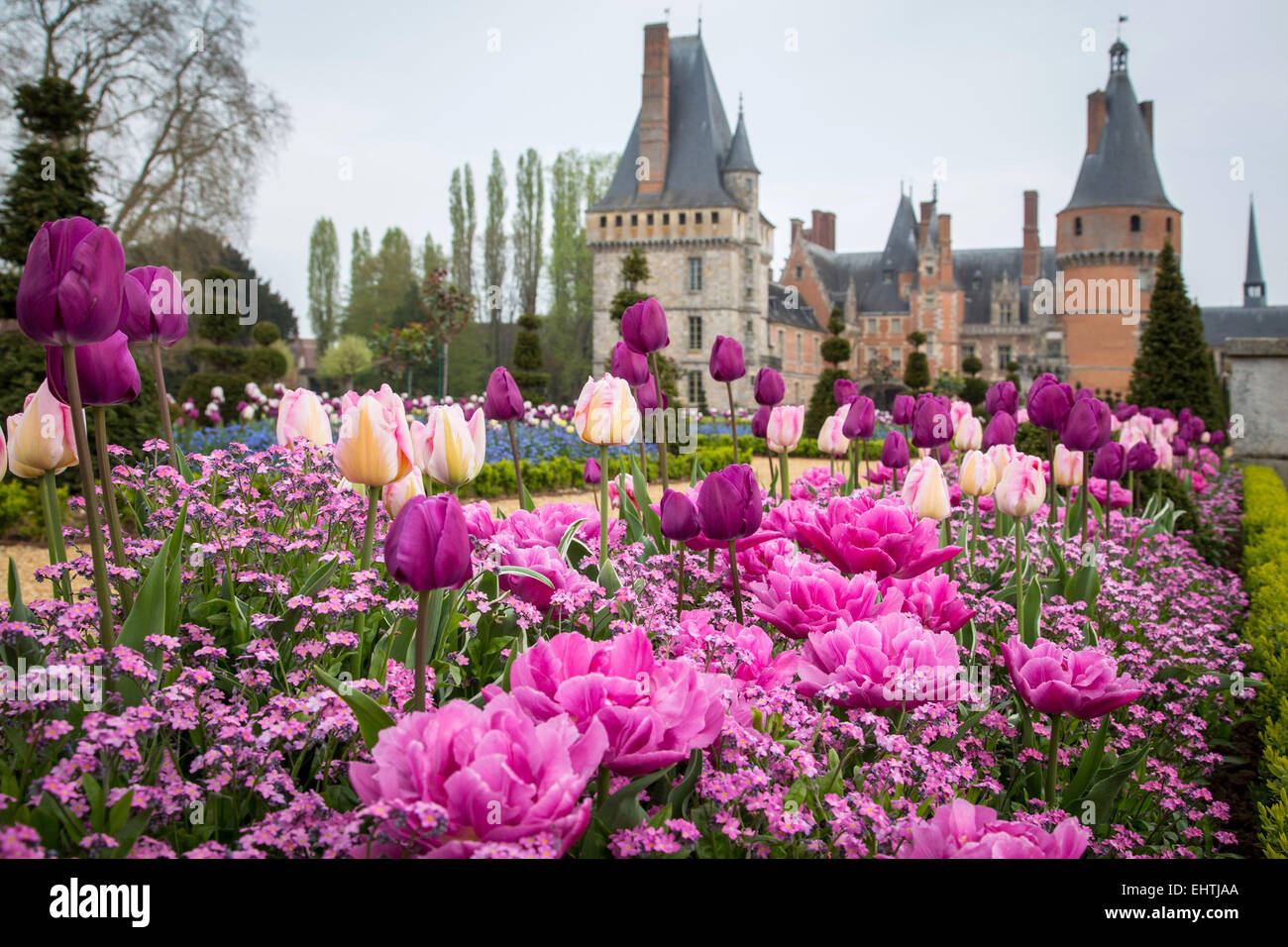 CHATEAU DE MAINTENON, (28) EURE-ET-LOIR, CENTRE, FRANCE Stock Photo - Alamy