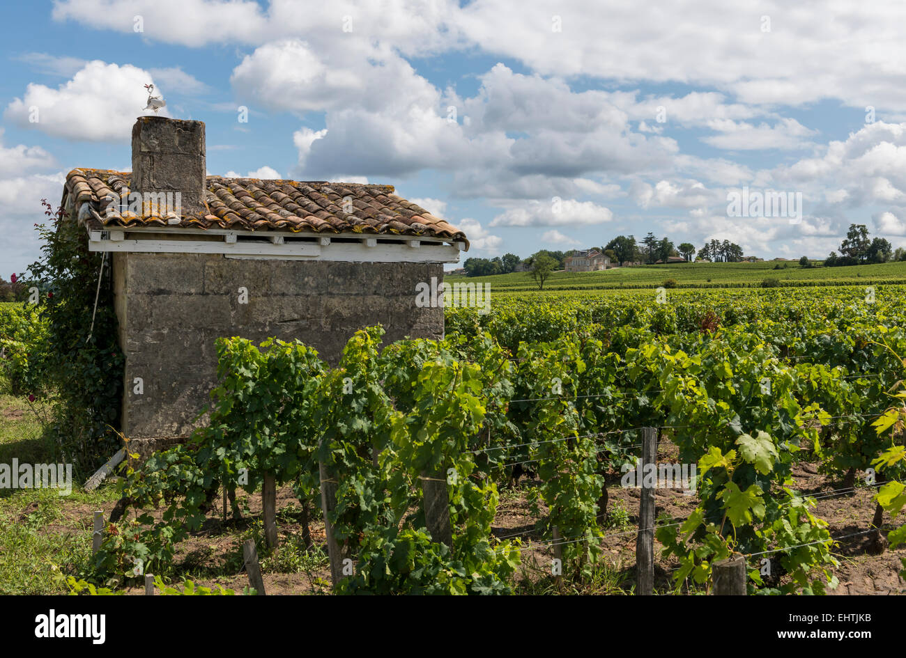 French Vineyard House