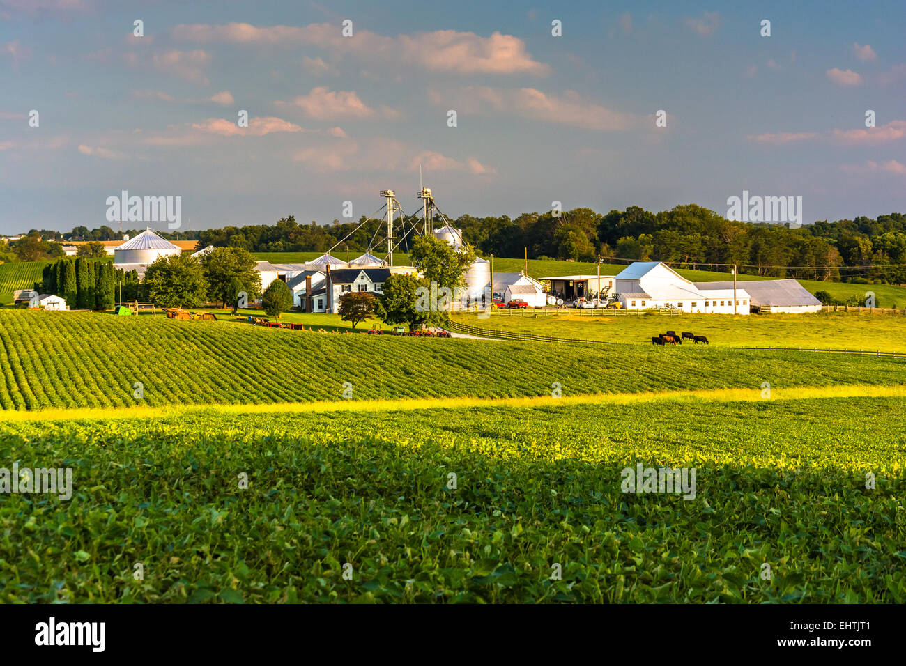 Howard fields hi-res stock photography and images - Alamy