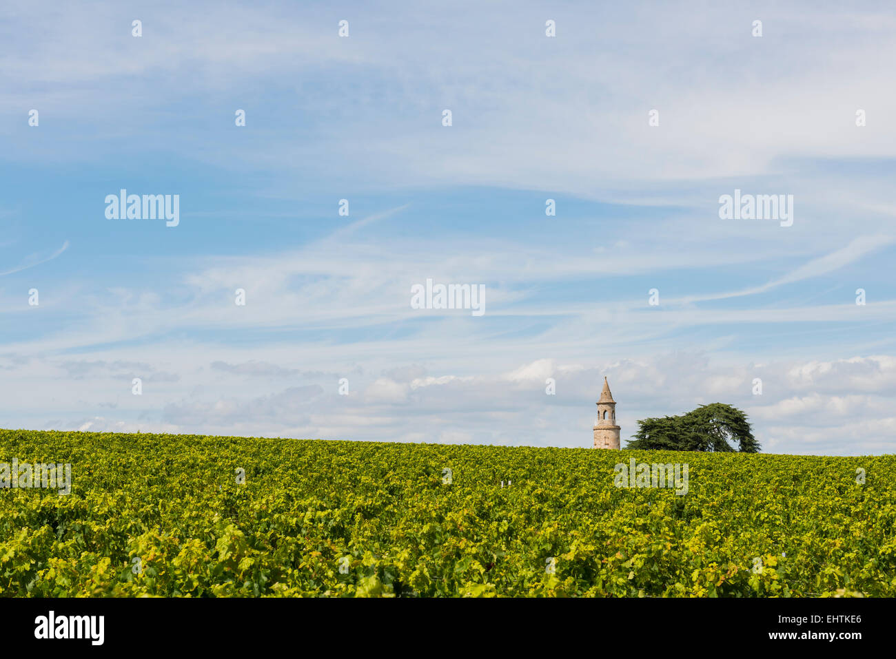Vinyard with tower and tree at Chateau Roque de By in Medoc, Gironde ...