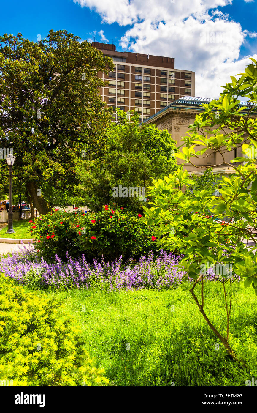 Downtown mount vernon buildings hi-res stock photography and images - Alamy