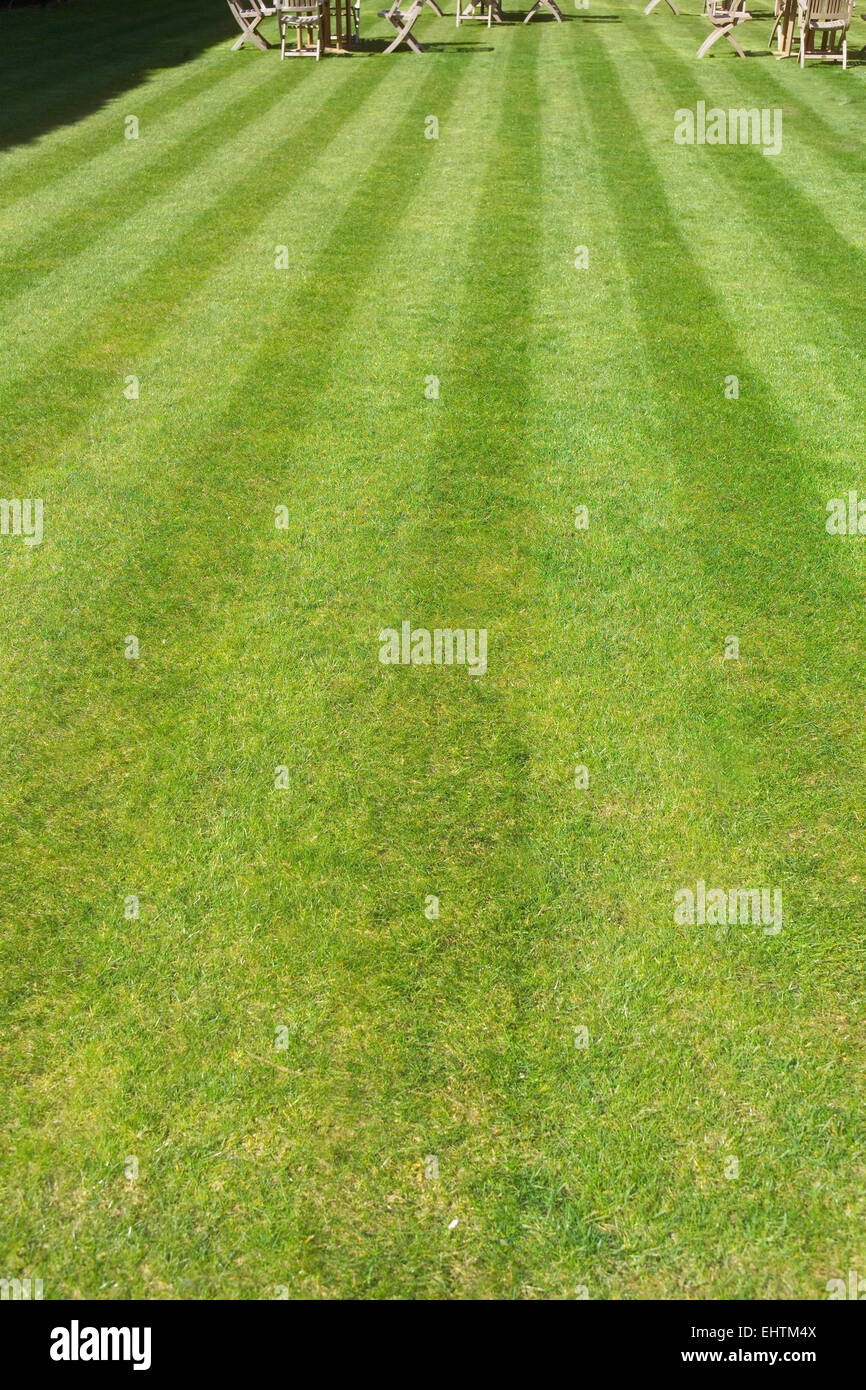 Lawn cut with stripe Stock Photo - Alamy