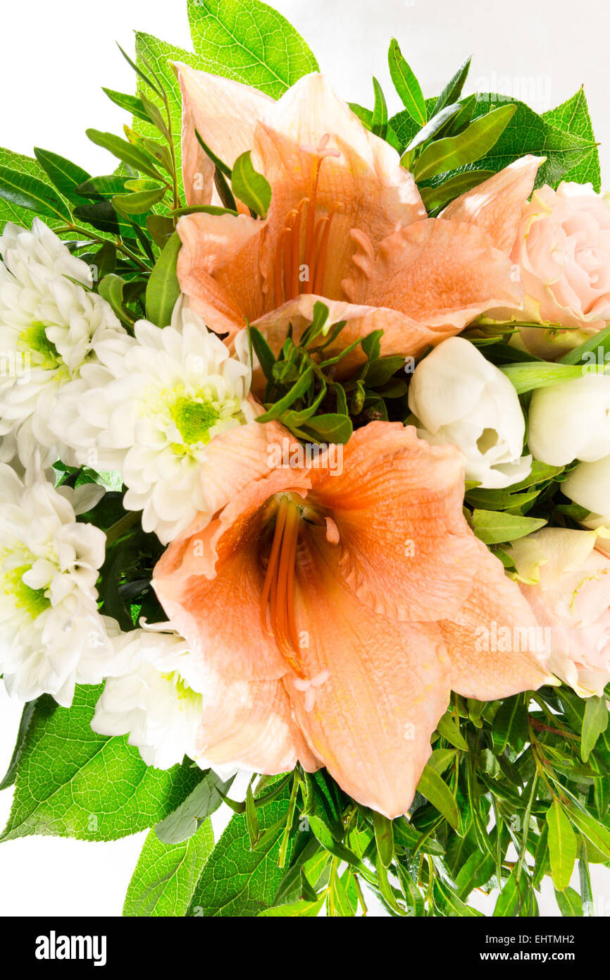 Amaryllis-rose flowers 6 Stock Photo - Alamy