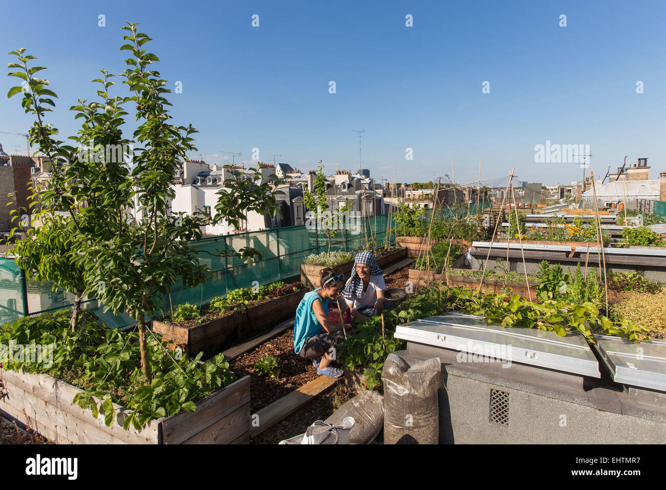 URBAN AGRICULTURE IN PARIS, FRANCE Stock Photo - Alamy