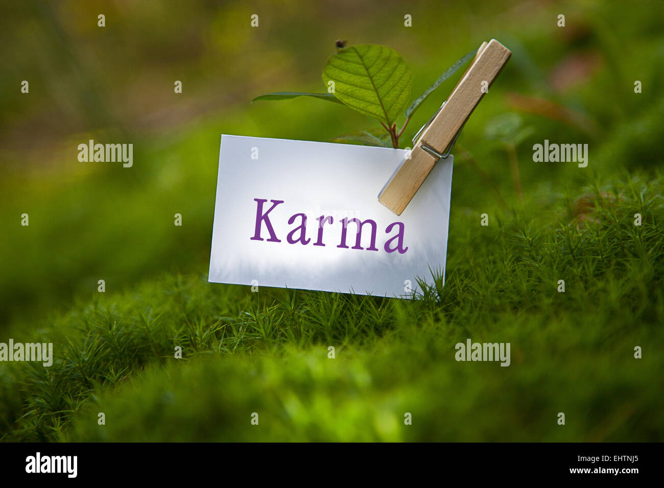 „Karma on paper with a seedling Stock Photo - Alamy