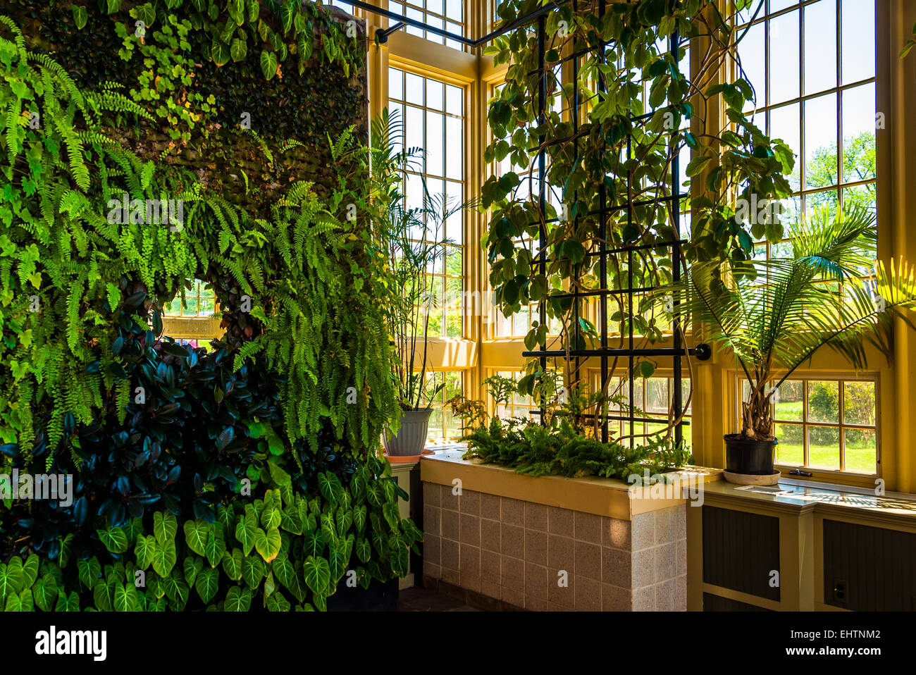 Green wall in the Howard Peters Rawlings Conservatory, in Druid Hill ...