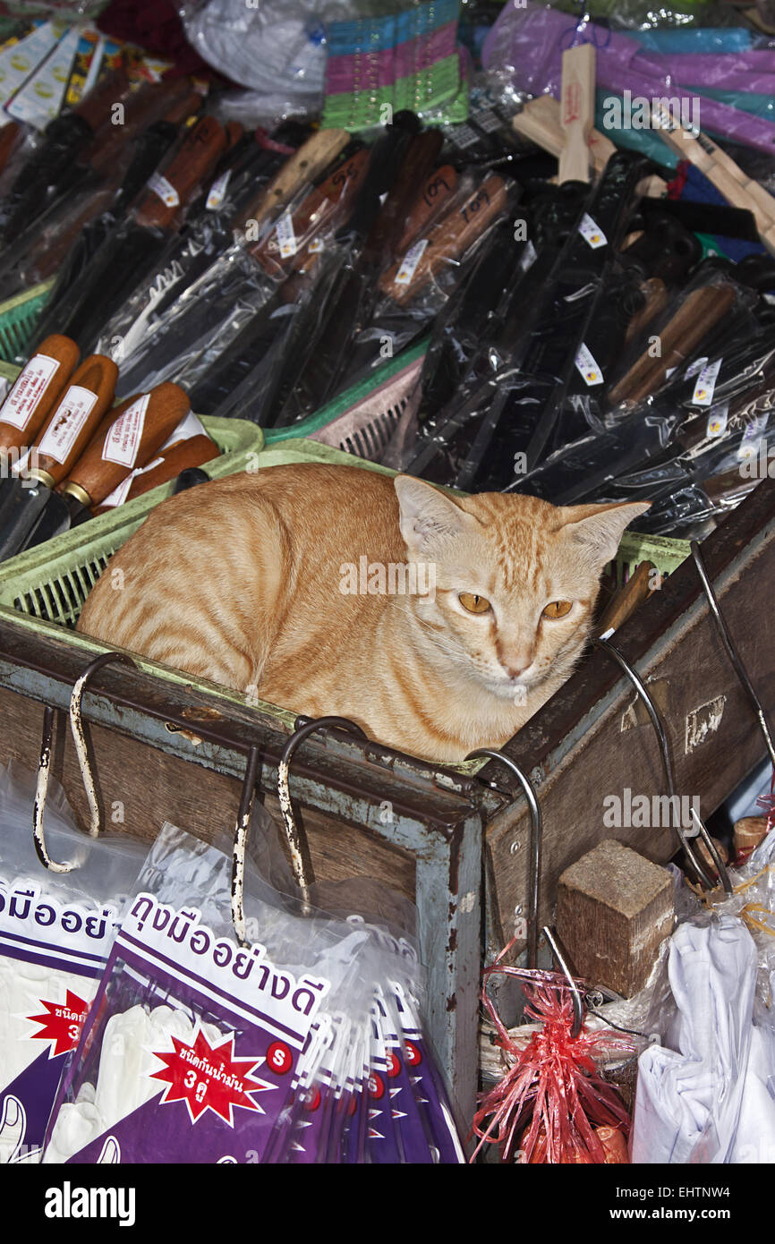 Bequemes hi-res stock photography and images - Alamy