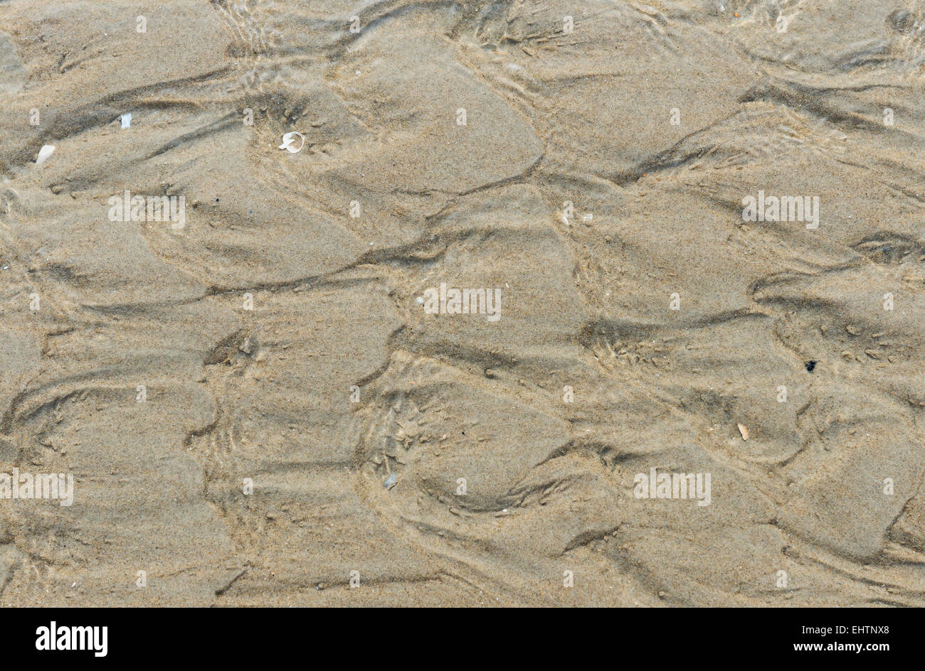 Beach mud pattern hi-res stock photography and images - Alamy