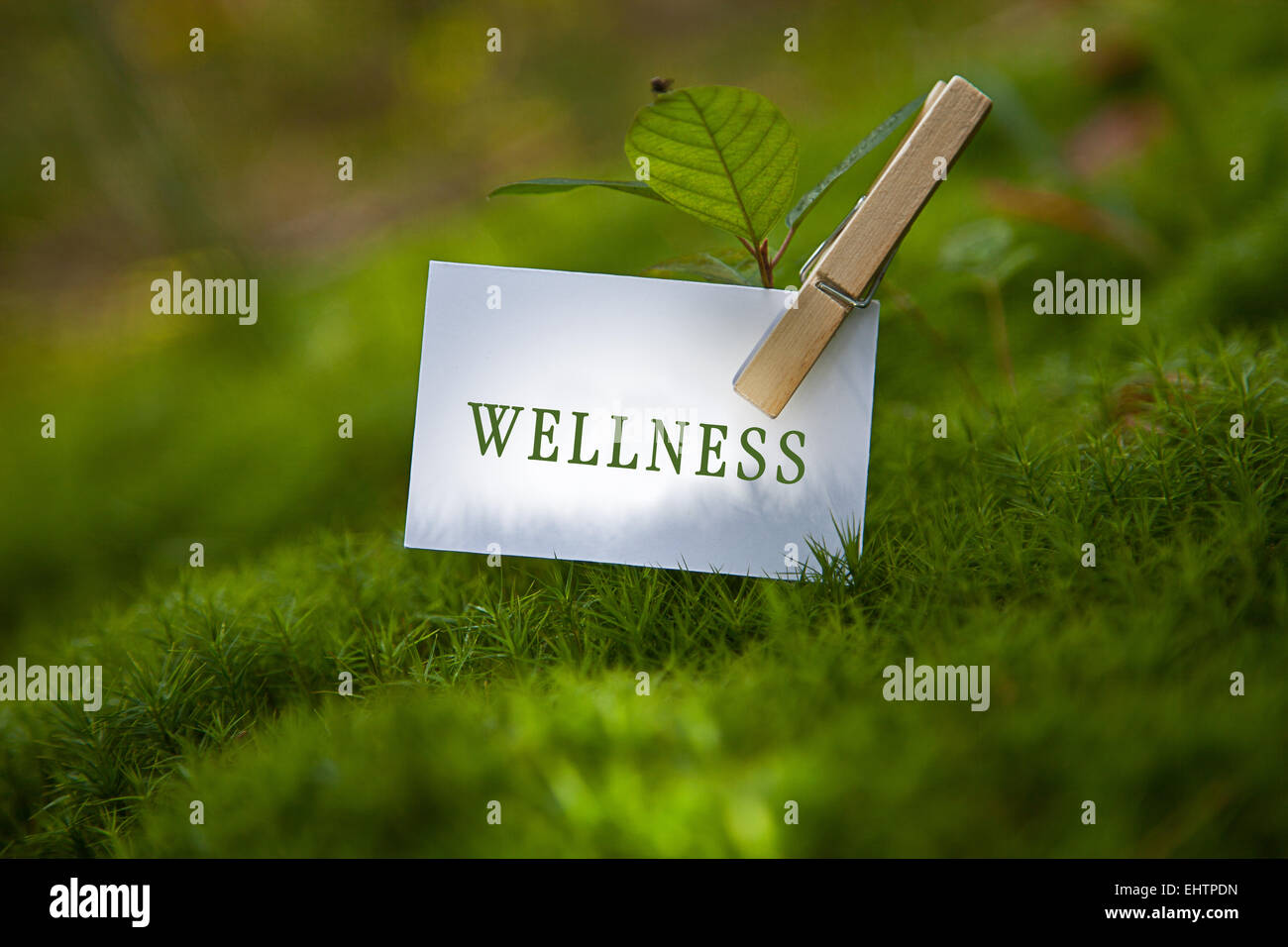 „Wellness on paper with a seedling Stock Photo - Alamy