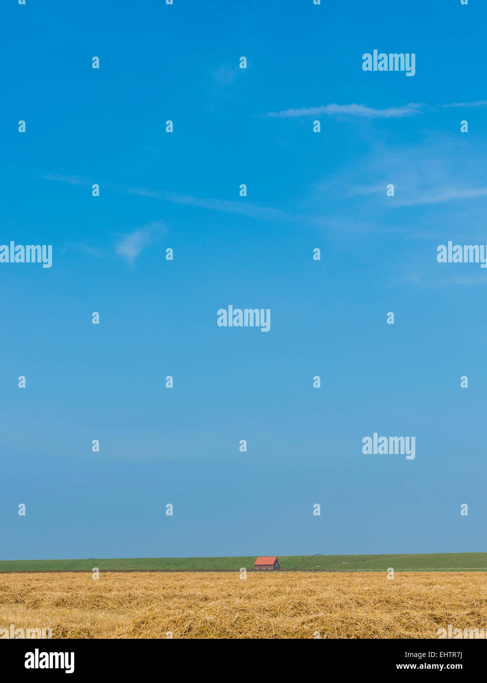 Wide landscape in the province of Groningen with grain field Stock ...