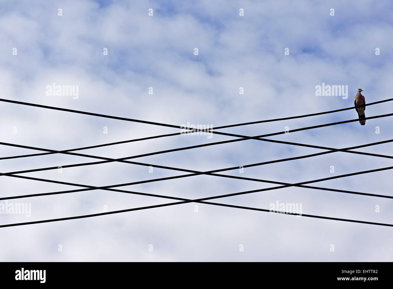 Symmetrical balance hi-res stock photography and images - Alamy