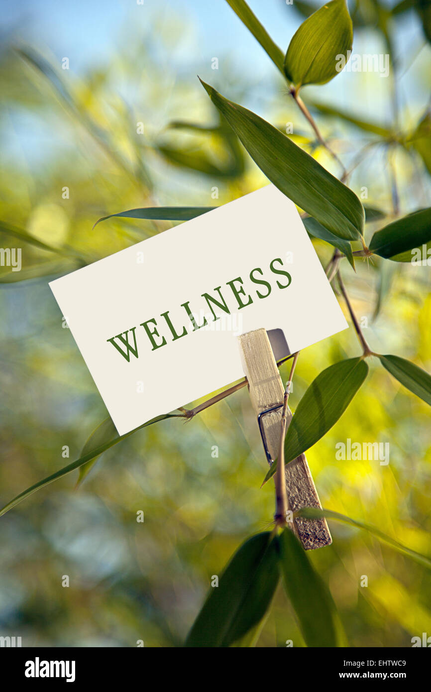 The word Wellness attached to bamboo Stock Photo - Alamy
