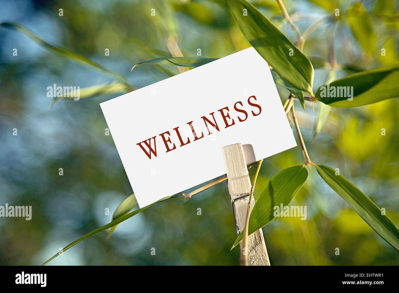 The word Wellness attached to bamboo Stock Photo - Alamy