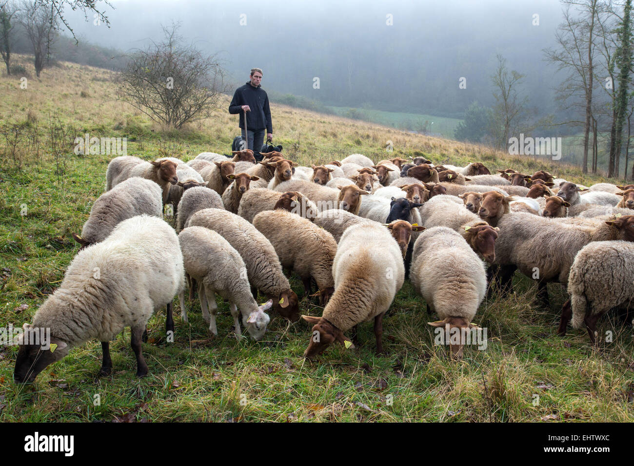 Shepherd france hi-res stock photography and images - Alamy