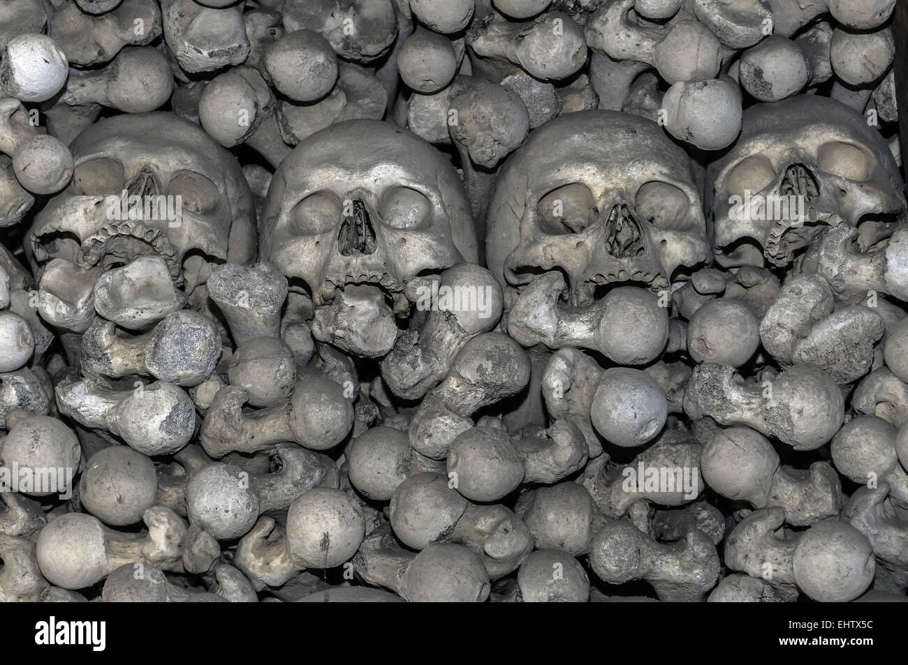 Human bones graveyard hi-res stock photography and images - Alamy