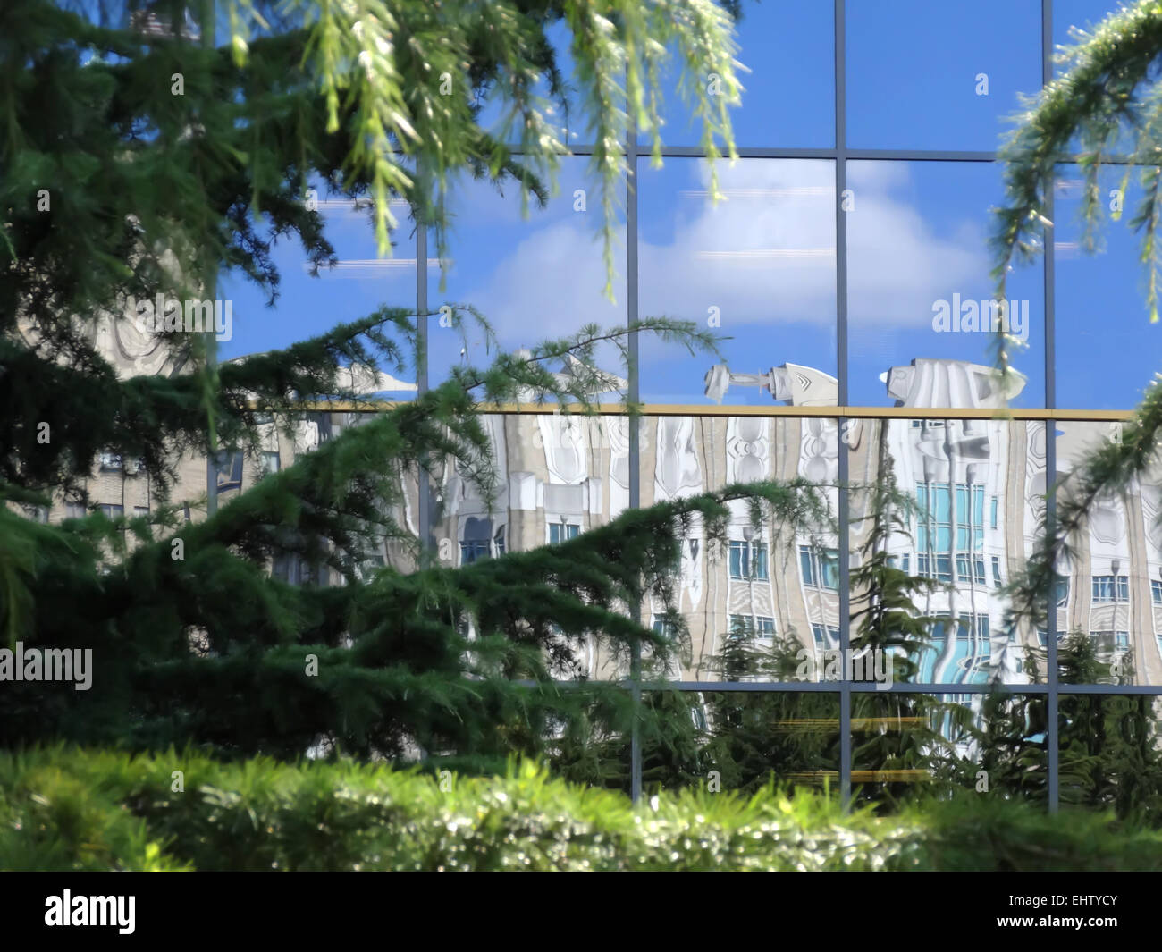 Tree reflection architecture hi-res stock photography and images - Alamy