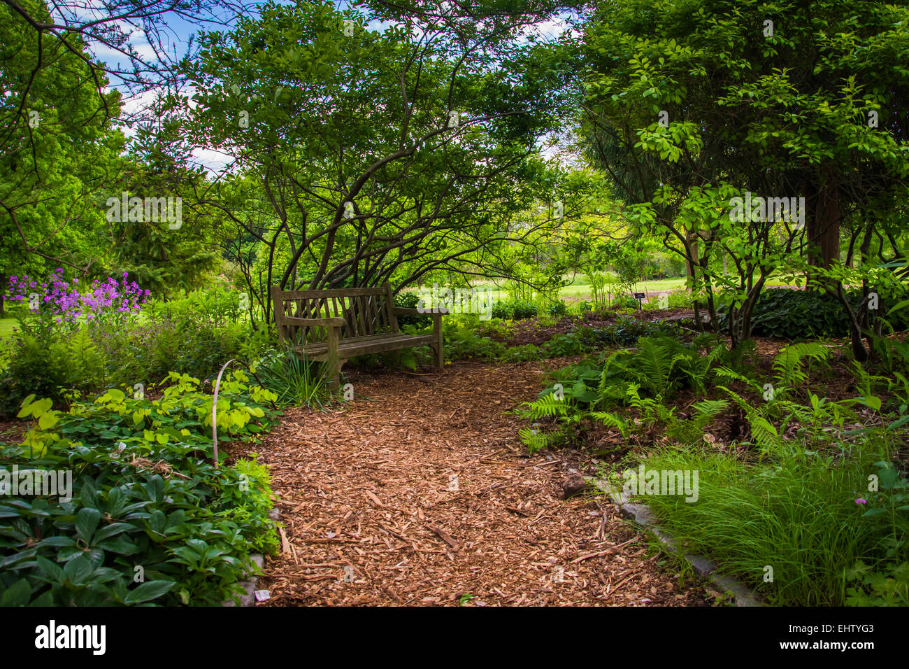 Path through a garden at Cylburn Arboretum, Baltimore, Maryland Stock ...