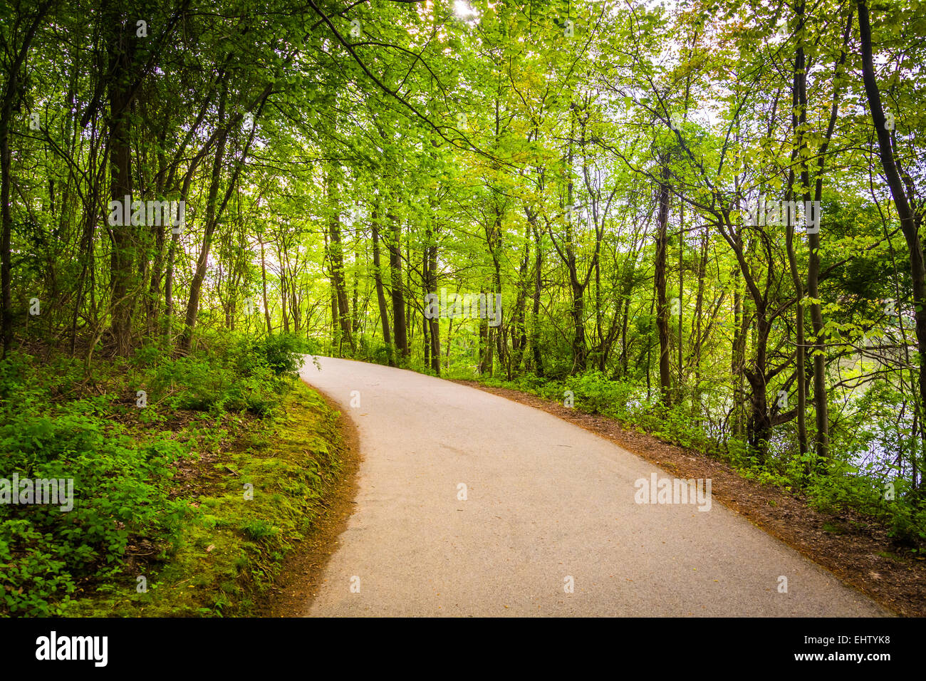 Paved path through the forest at Centennial Park, Columbia, Maryland ...