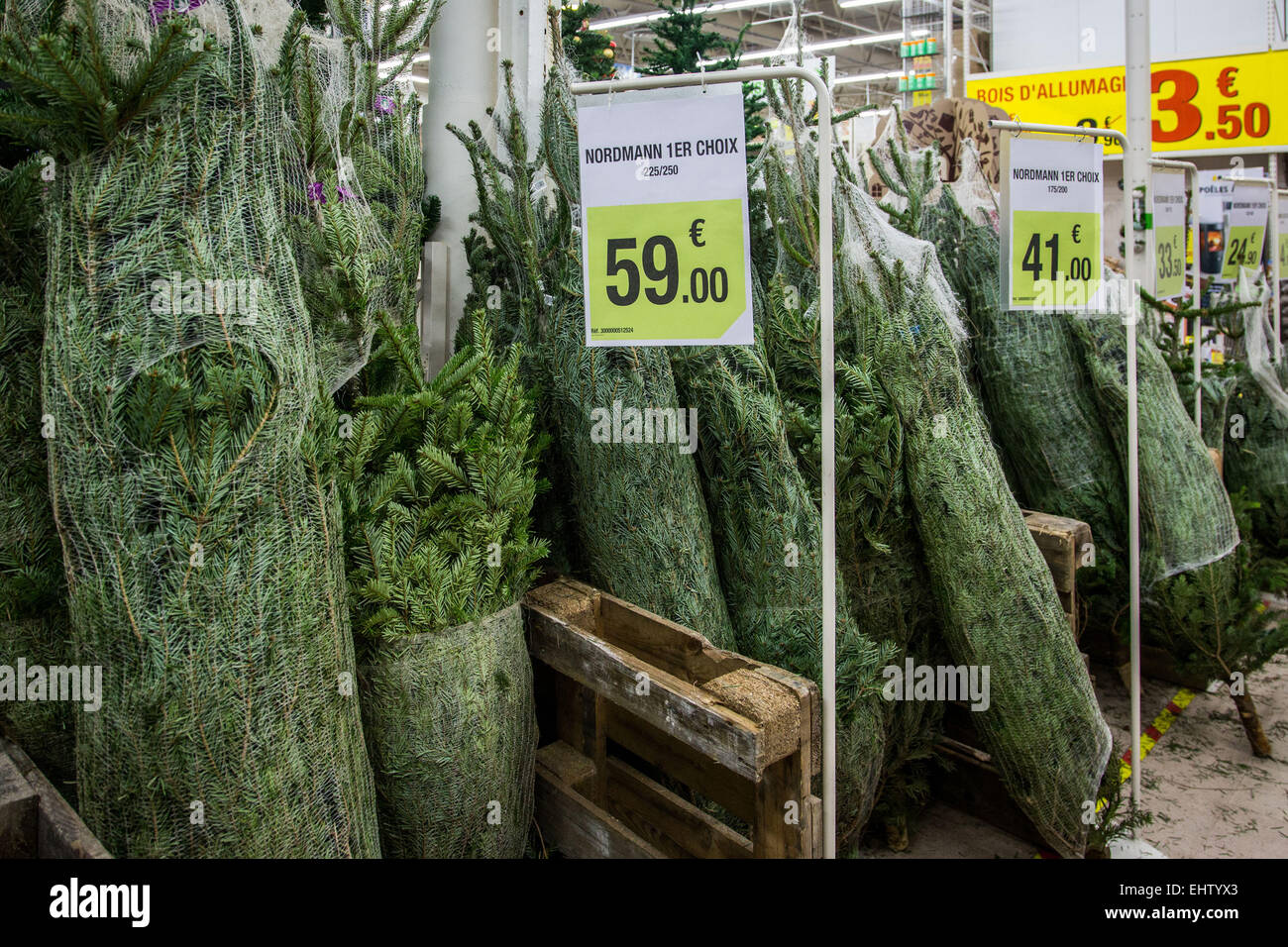 Tree distribution hi-res stock photography and images - Alamy