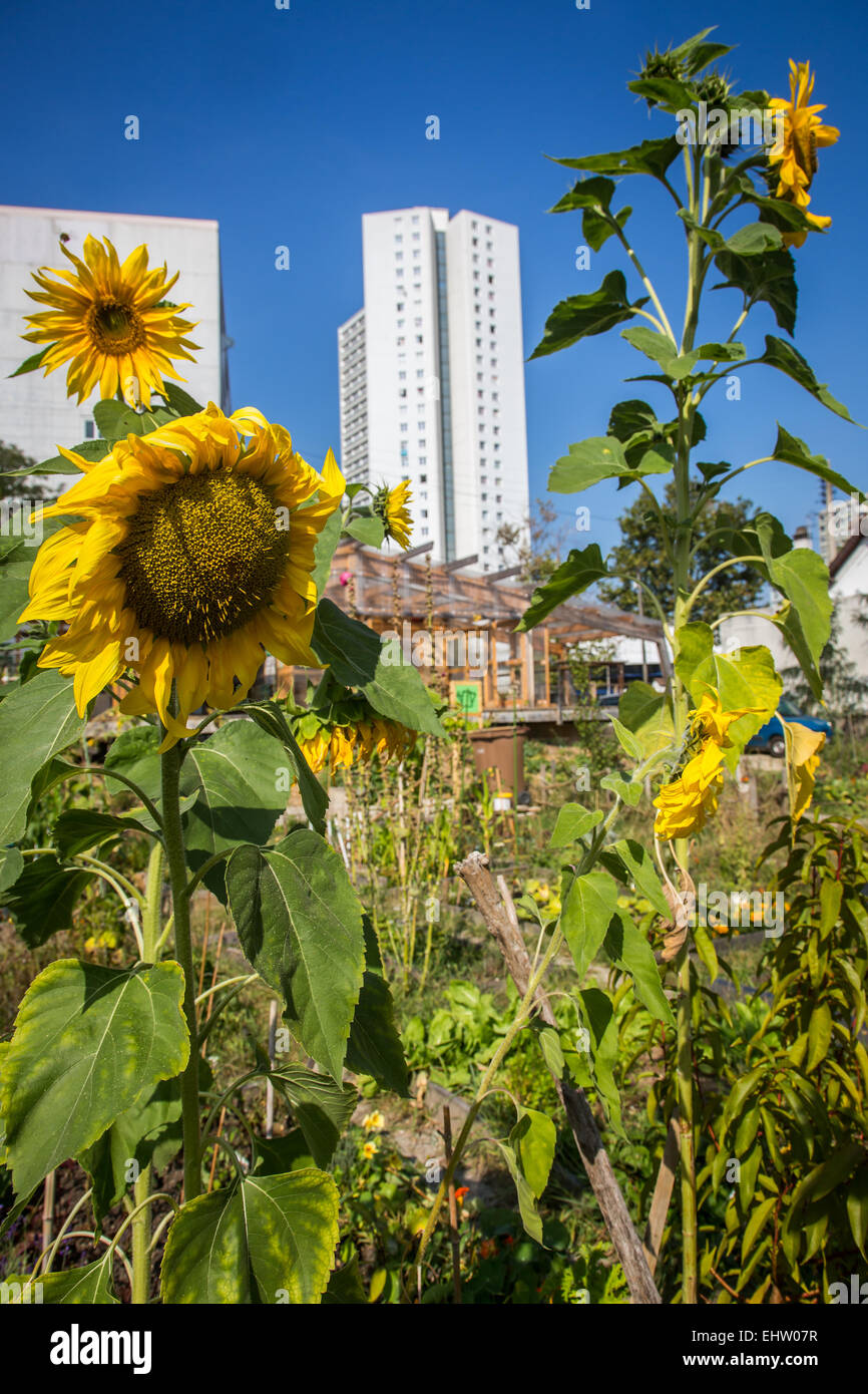 Uban environment hi-res stock photography and images - Alamy