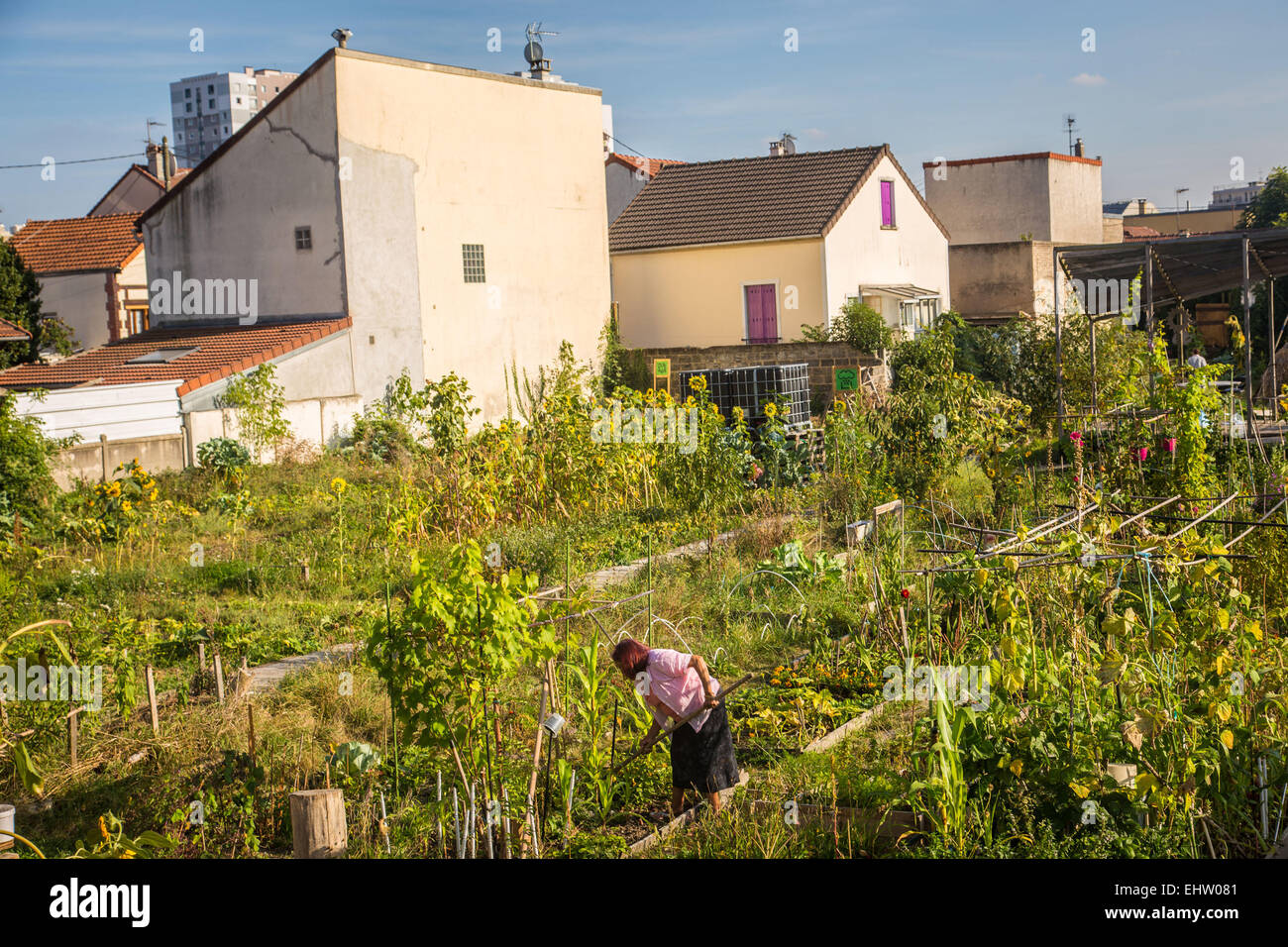 EXPERIMENTAL GARDEN PROJECT R-UBAN BY THE ARCHITECTURAL WORKSHOP ...