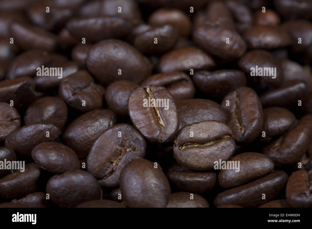 Full of beans, cafe hi-res stock photography and images - Alamy