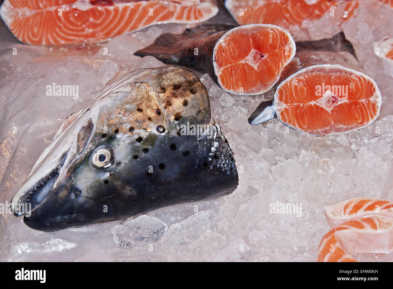 Fresh fish counters hi-res stock photography and images - Alamy