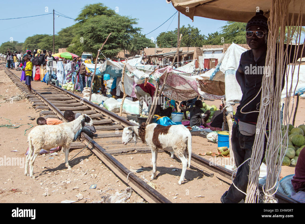 ILLUSTRATION OF SENEGAL, WEST AFRICA Stock Photo - Alamy