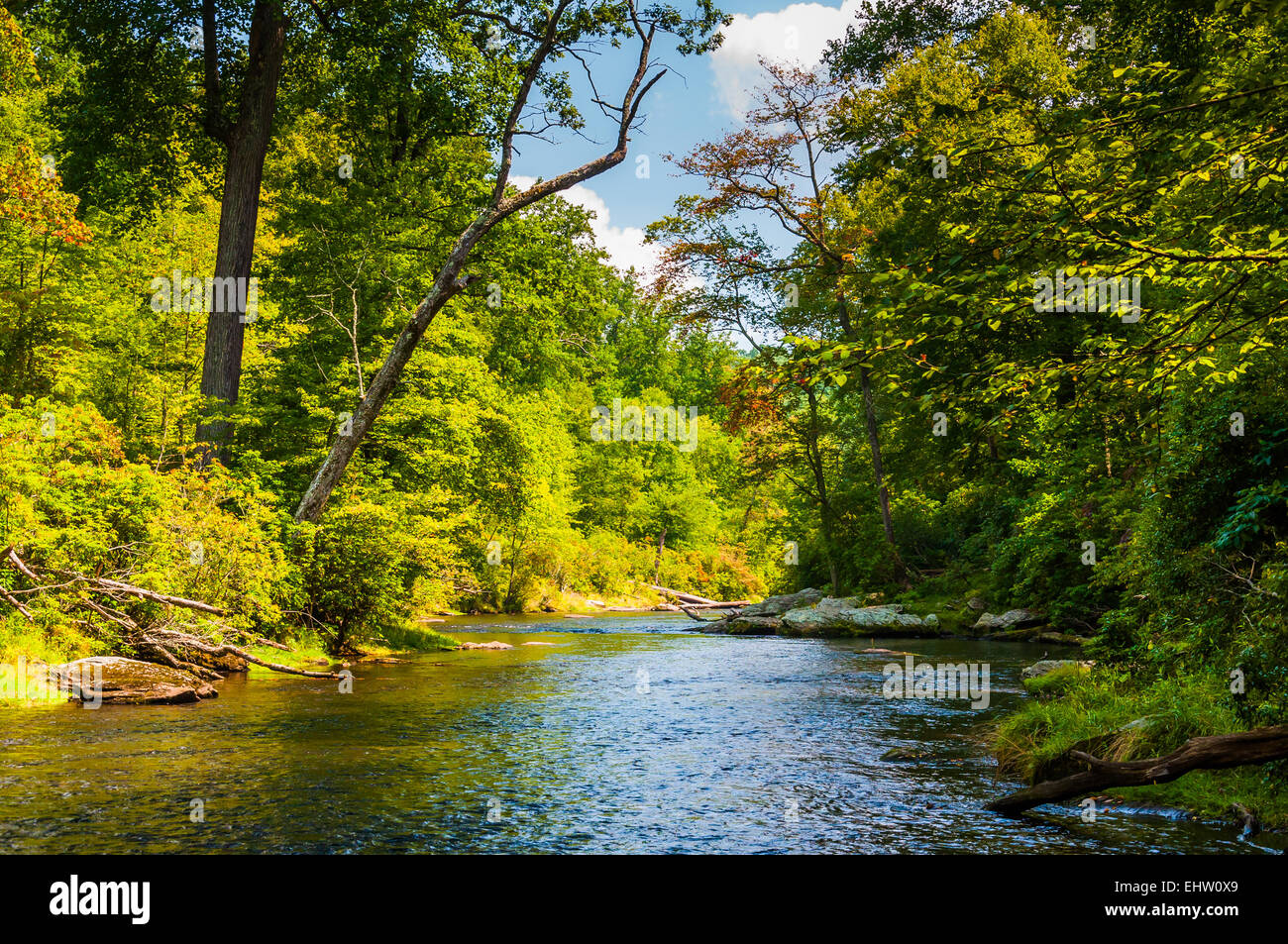 Serene view of the Gunpowder Falls, in Baltimore County, Maryland Stock ...