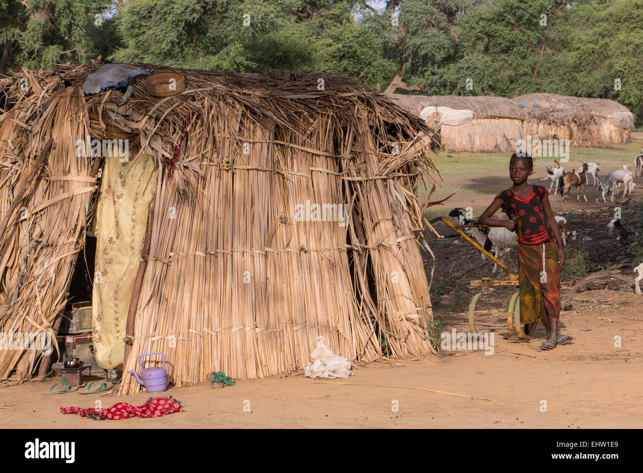 ILLUSTRATION OF SENEGAL, WEST AFRICA Stock Photo - Alamy