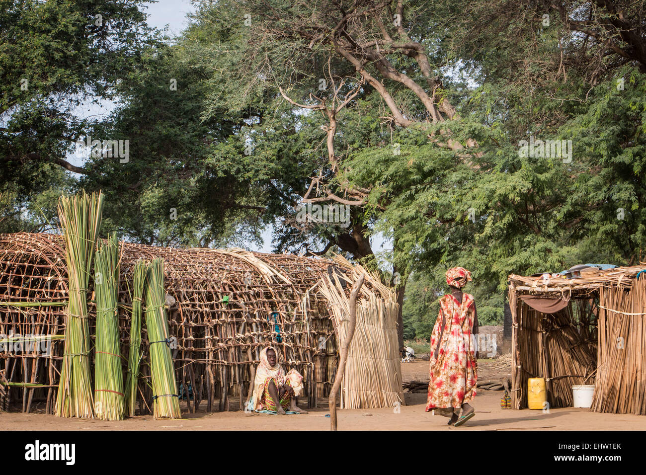 ILLUSTRATION OF SENEGAL, WEST AFRICA Stock Photo - Alamy