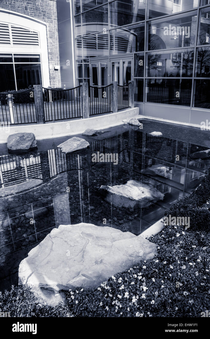 NATIONAL HARBOR, MARYLAND - NOVEMBER 10: Pool and garden in the lobby ...