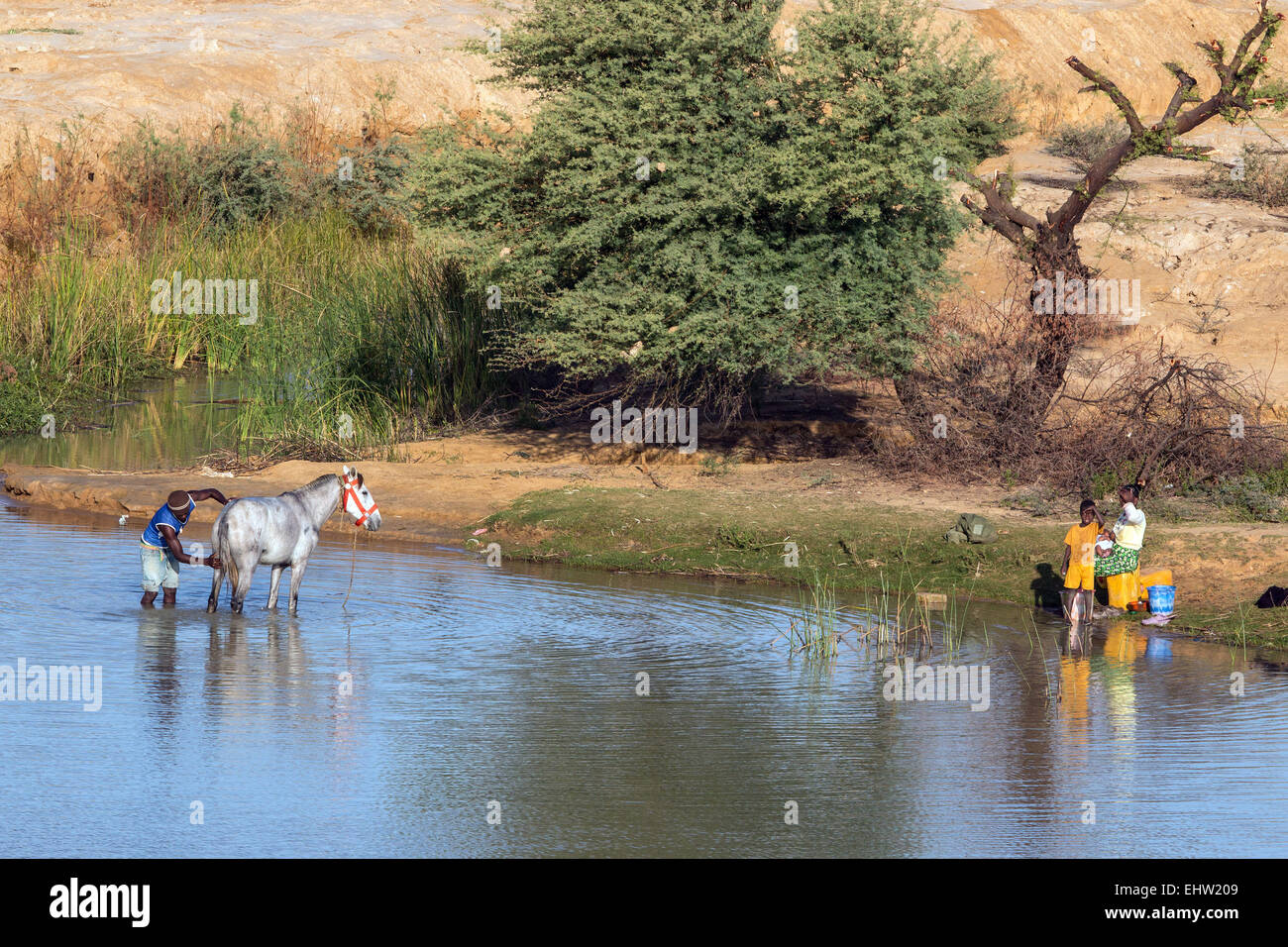 Senegal river mauritania hi-res stock photography and images - Alamy