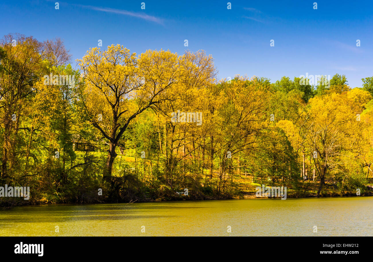 Spring color along Lake Roland at Robert E. Lee Memorial Park in ...