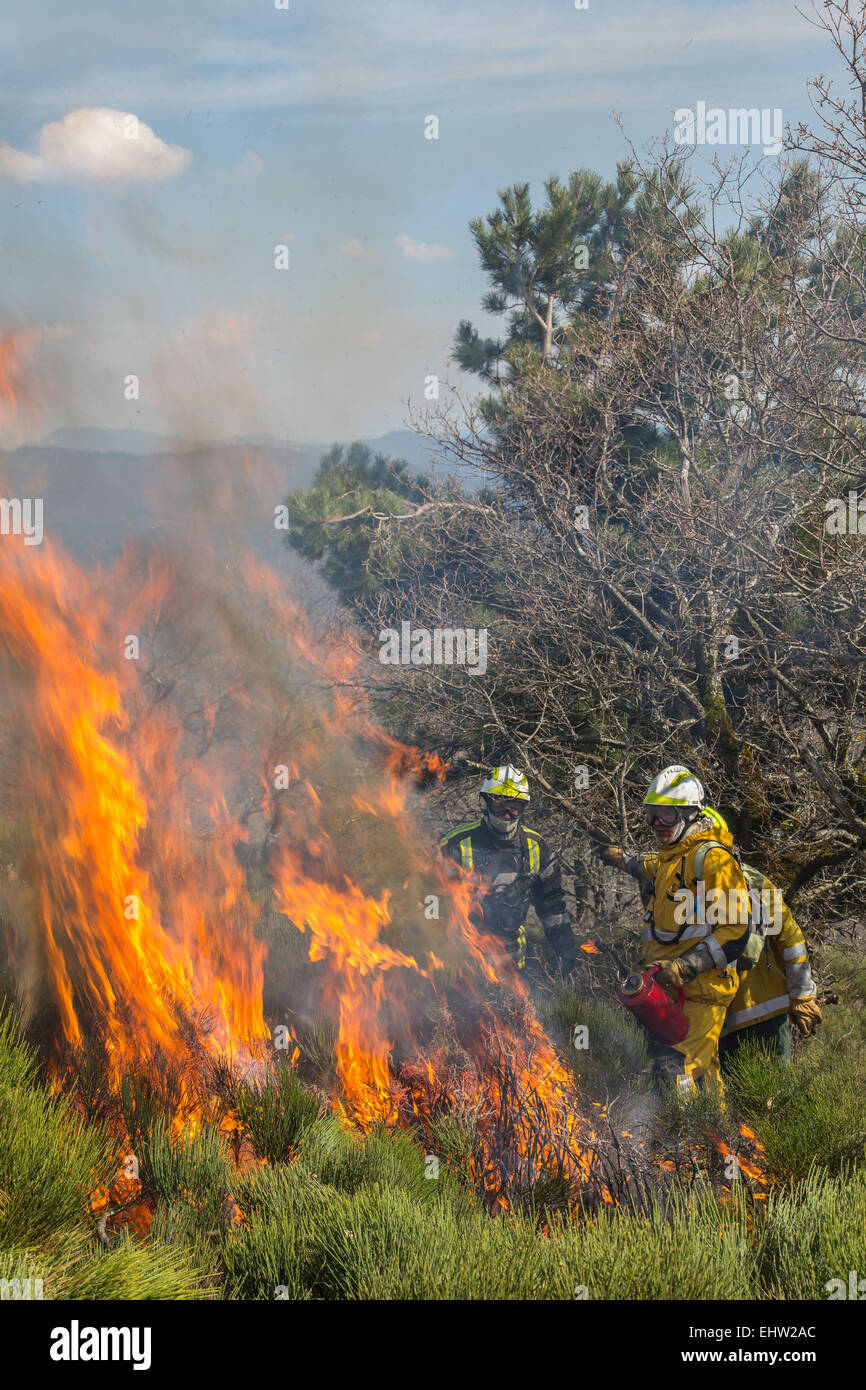 Burning fire test hi-res stock photography and images - Alamy
