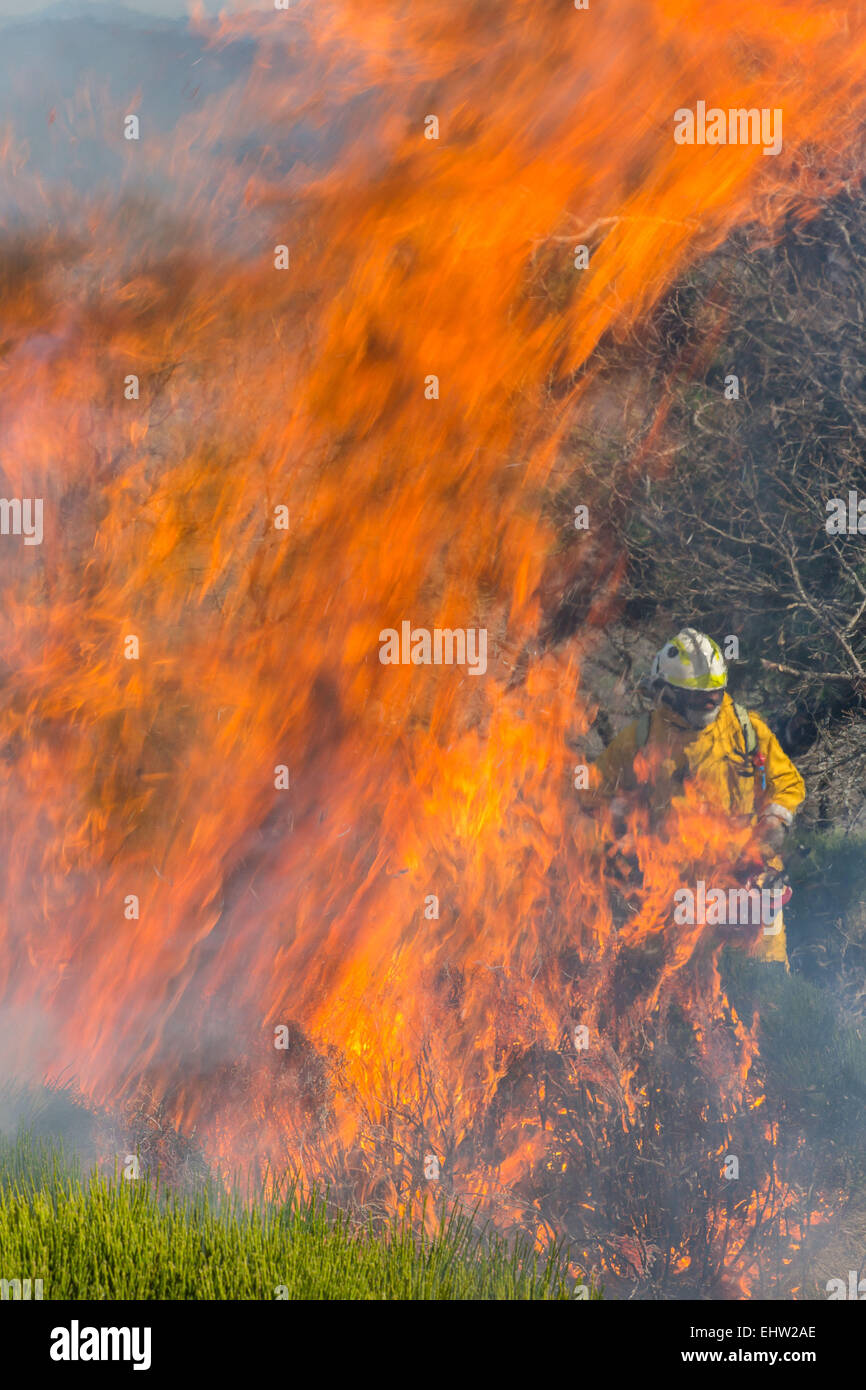 Burn beating hi-res stock photography and images - Alamy